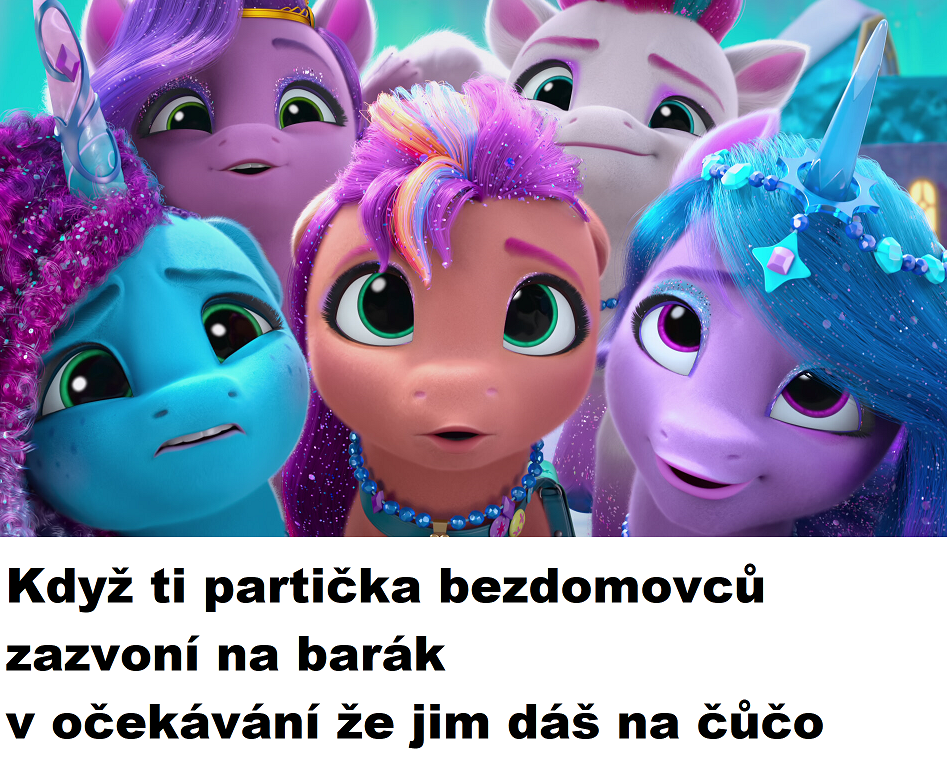 PONY MEME CZ